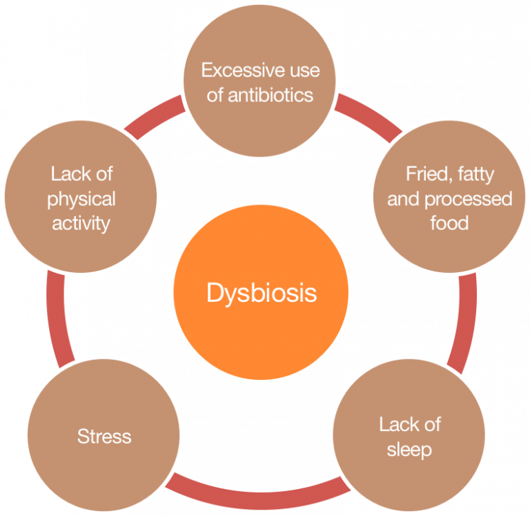 Everything You Need to Know about Probiotics – Guthack